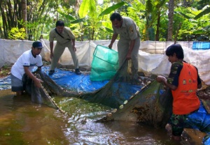Manfaat Biologi di Bidang Perikanan - DosenBiologi.com